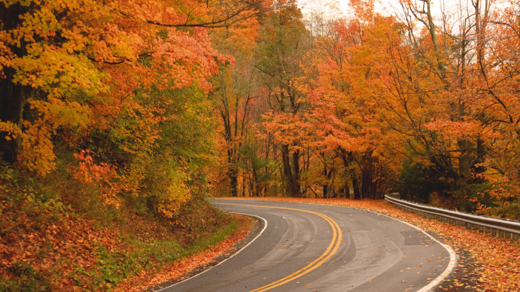 Fall Foliage Getaways: The Best Spots in Ohio, Kentucky & Indiana ...