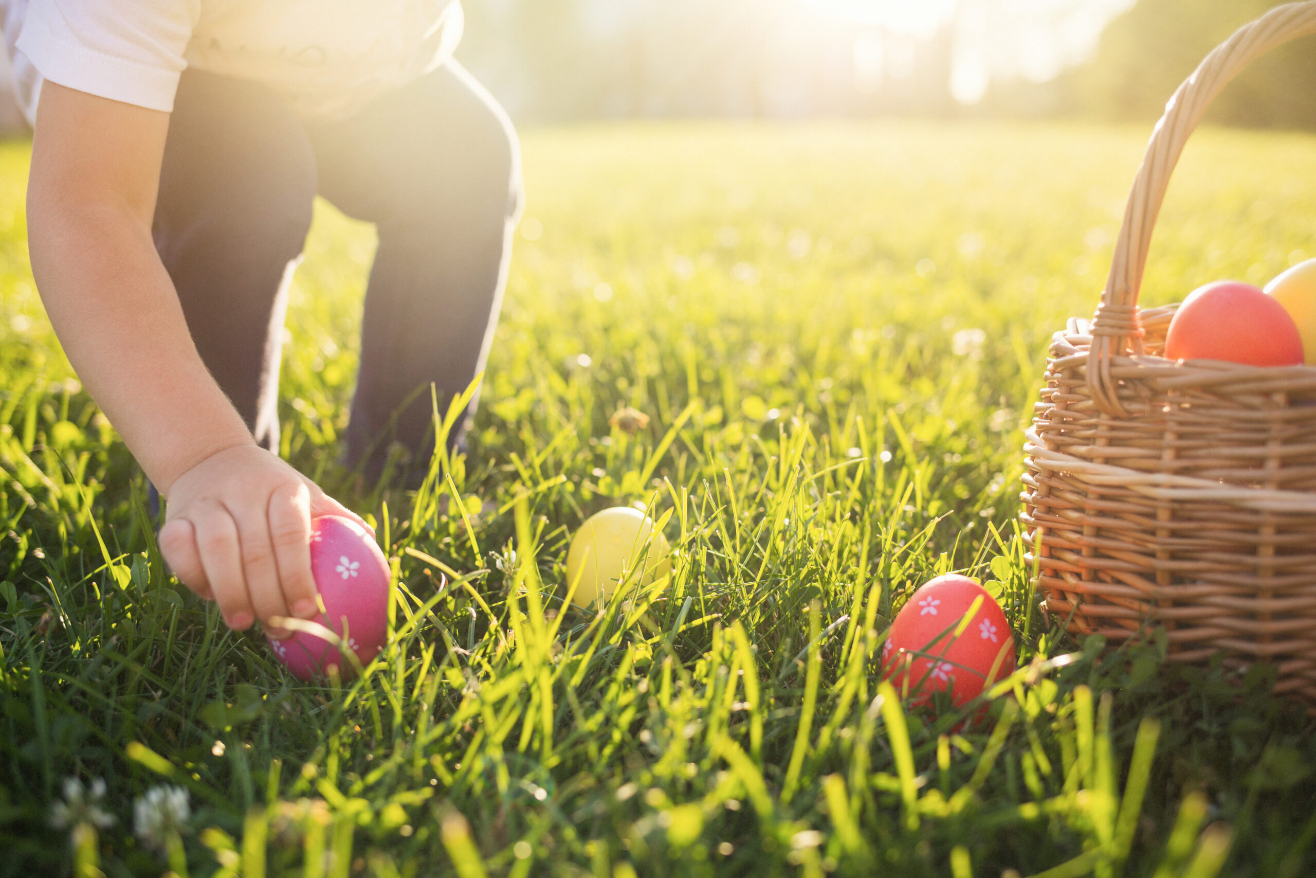 Local Easter Egg Hunts 2025 | Haus & Home