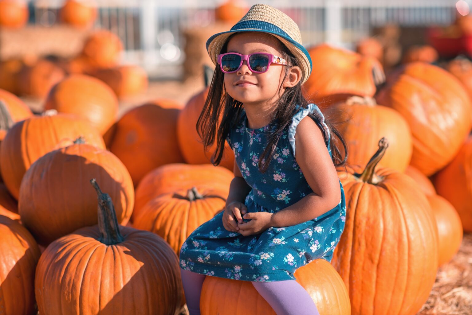 Local Pumpkin Patches and Fall Festivals | Haus & Home